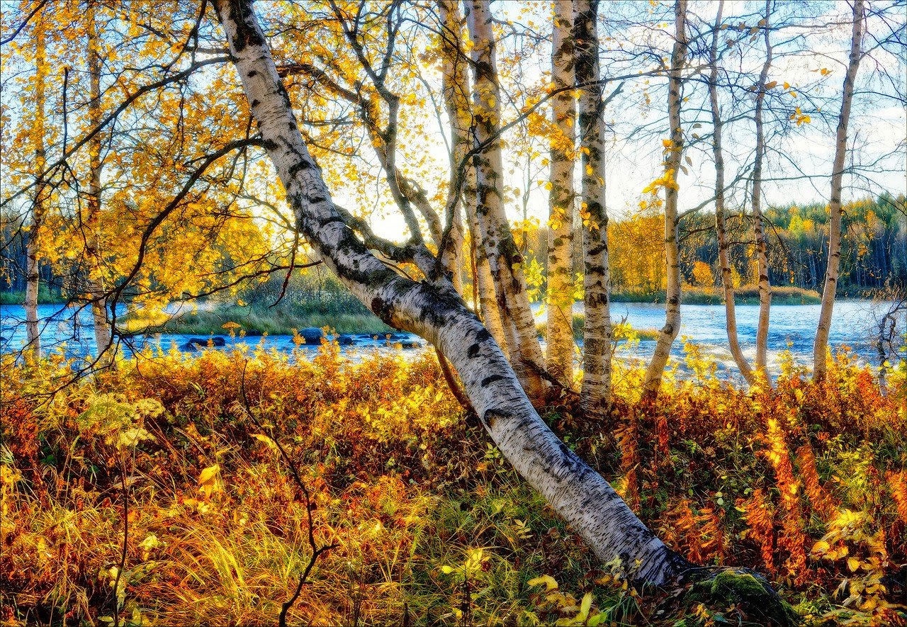 ABC Russian: Autumn in Russia