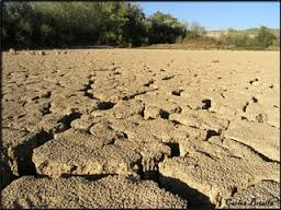 TORMENTAS DE ARENA Y TOLVANERAS: CARACTERÍSTICAS GENERALES DEL FENÓMENO ...