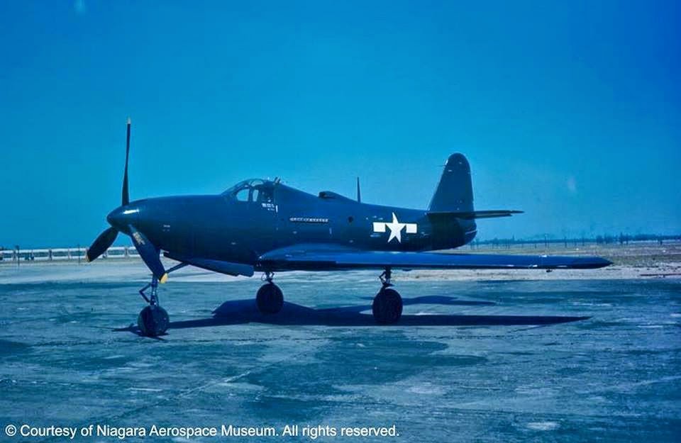 Tailhook Topics: Bell Aircraft L-39 Color