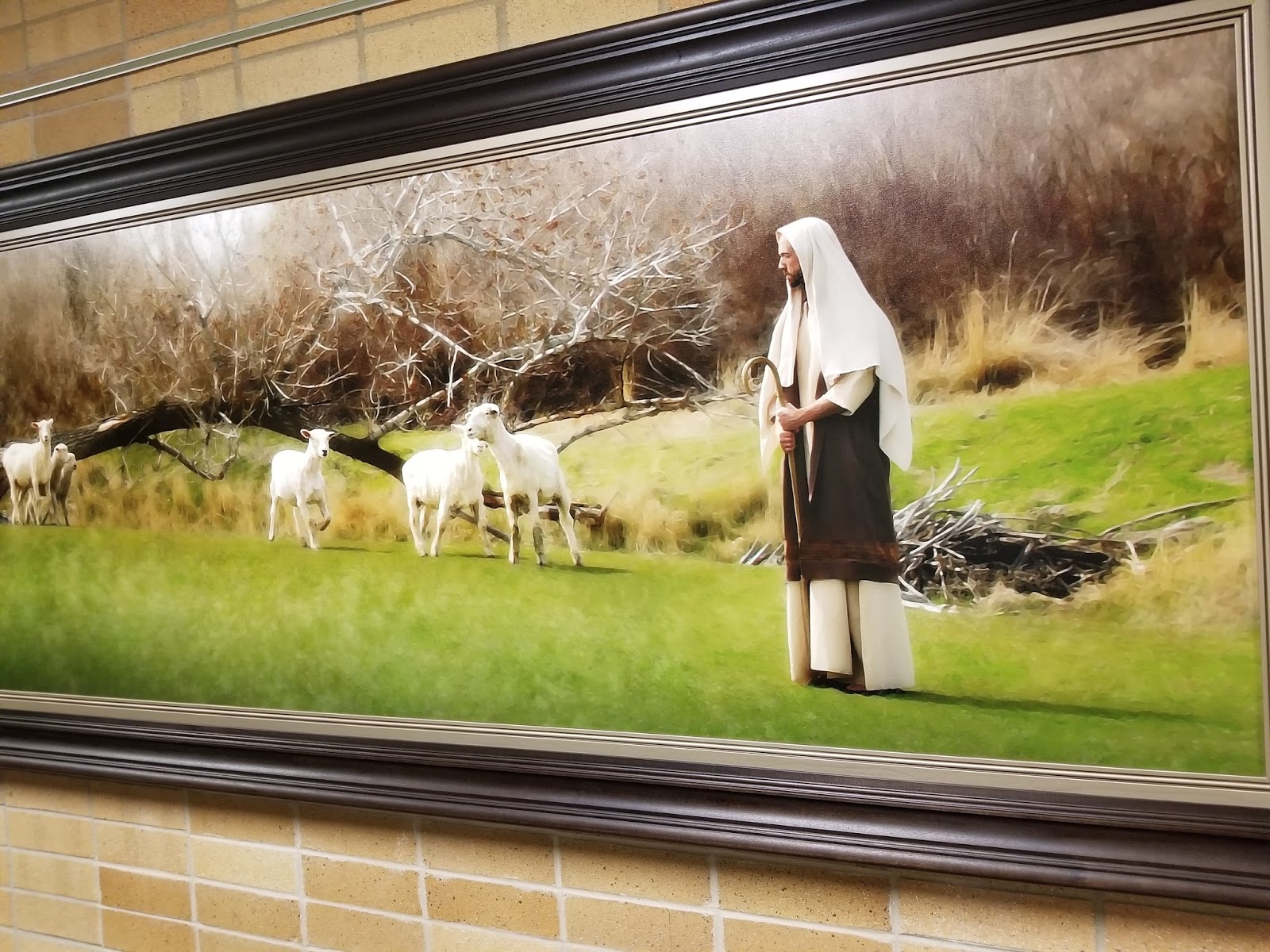 Book of Mormon setting: Confusing messages at the MTC