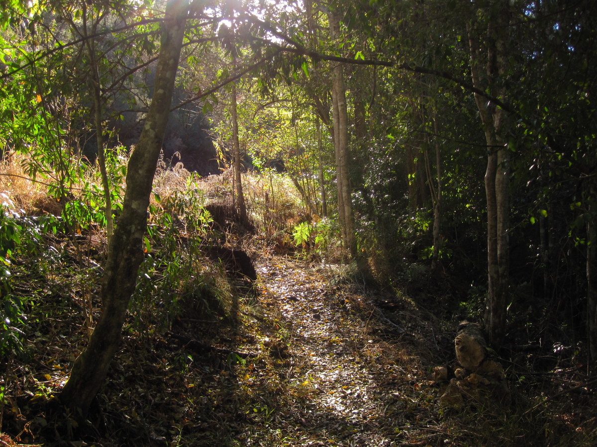 Old George Dam Trail Run