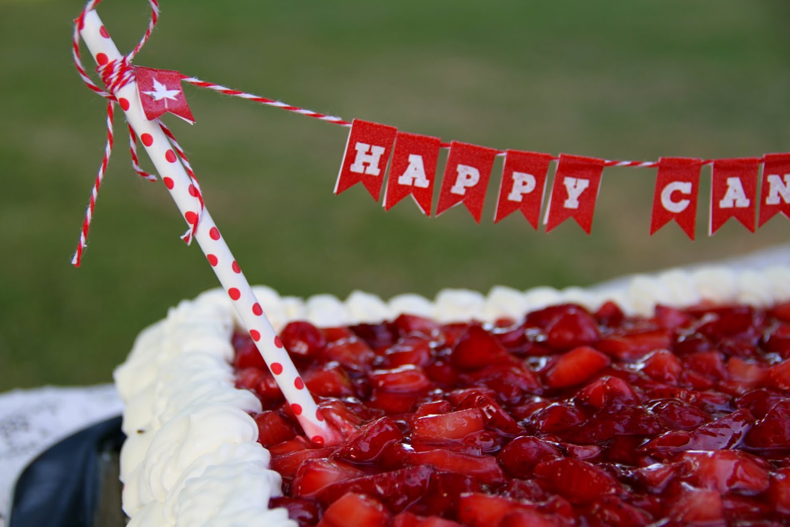 Mennonite Girls Can Cook: Happy Canada Day Cake with Bunting Tutorial