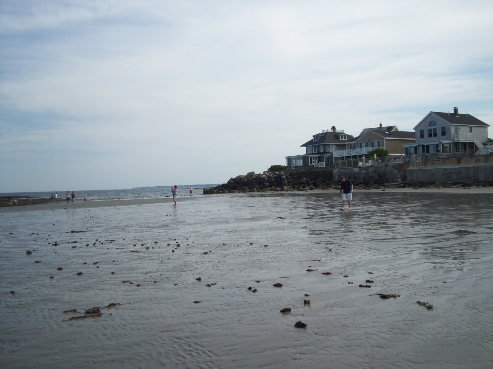 The Ape News: Wells Beach in Maine