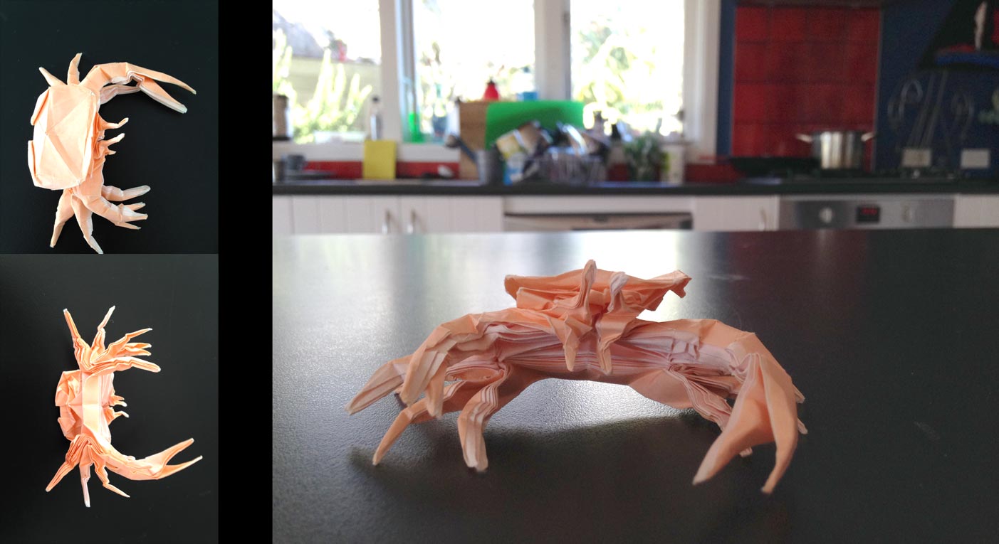 JoeOrigami: Origami Fiddler Crab