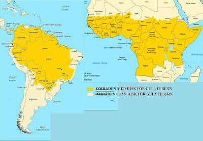 Tappa inte taget Blogg om hälsa: Vaccination mot Gula febern ökar ...