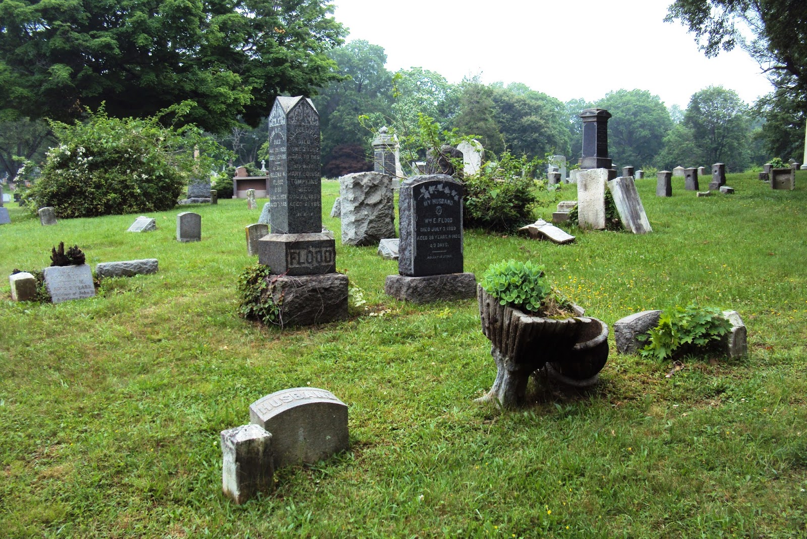 The Alexander Flood Family Genealogy