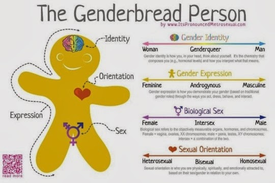 Curriculum Toolkit Gender Sexuality