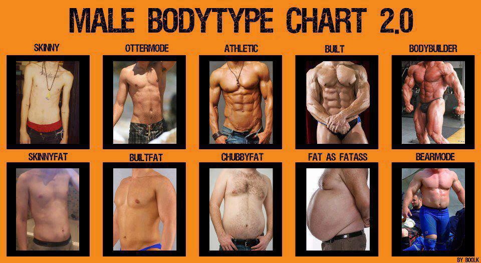 Male Body Types Sale Discounts | www.deborahsilvermusic.com