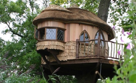 Home Styles: Tree houses style & design