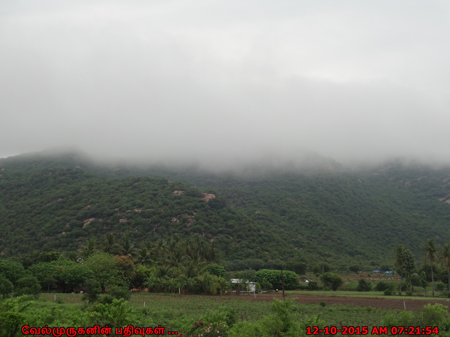 Chettikulam Murugan Temple - Exploring My Life