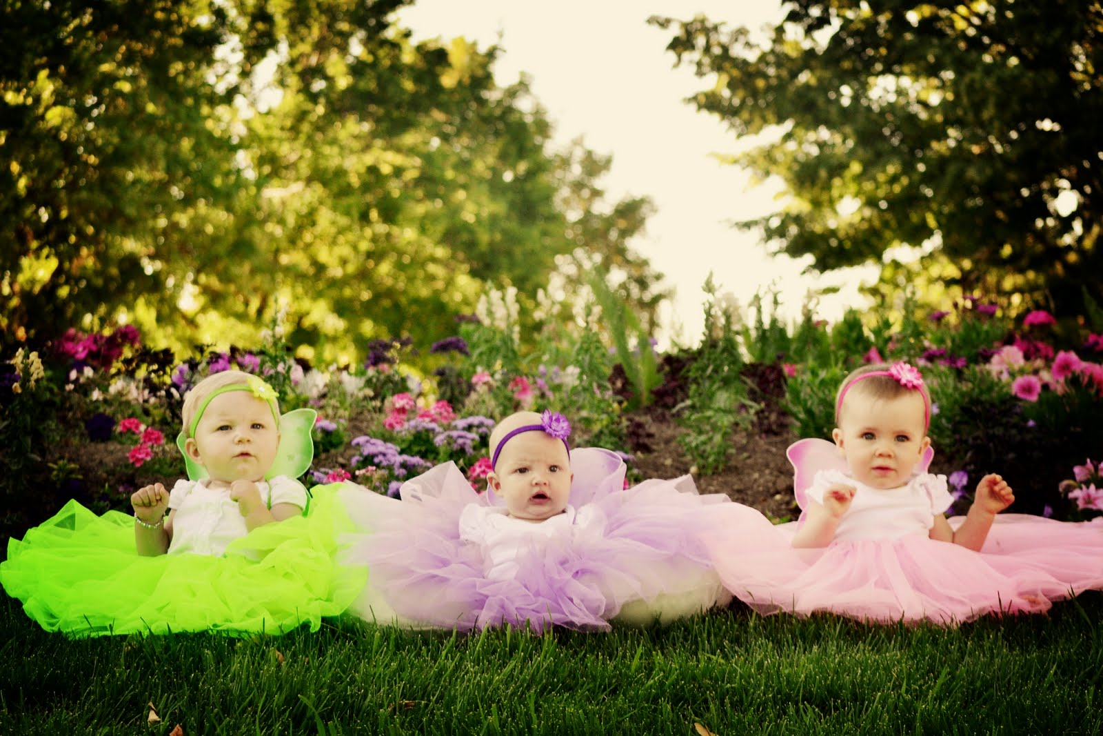 Photography by Bree: 3 Cute Babies