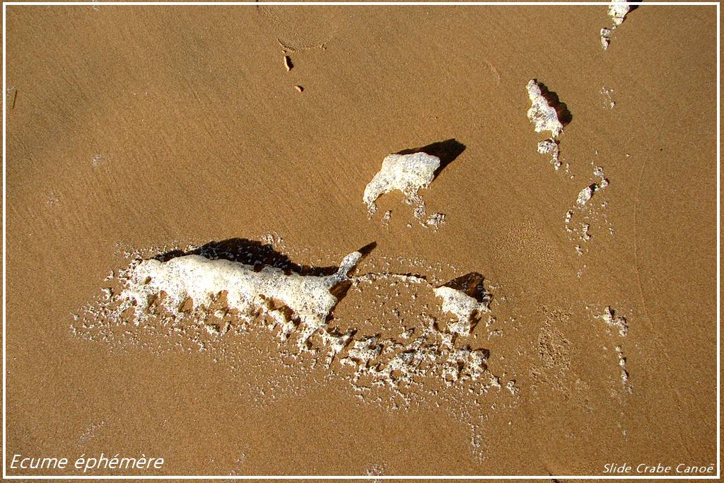 CrabeCanoë: Écume éphémère