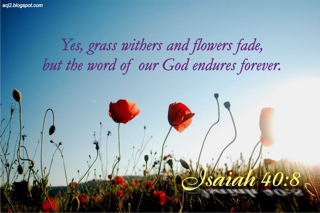 God is Enough | Ric's Inspirational Verses