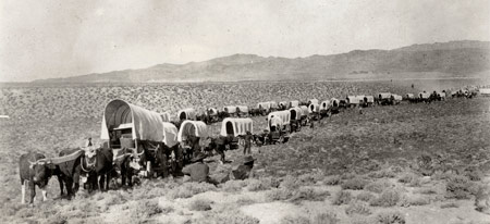 Covered Wagon Train