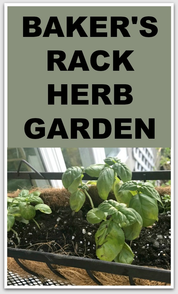 Baker's Rack Herb Garden