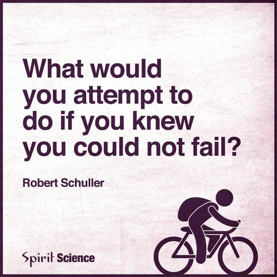 What would you attempt to do if you knew you could not fail ...