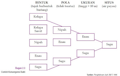 Unsur dan Teknik Interpretasi Foto Udara | Geografisku
