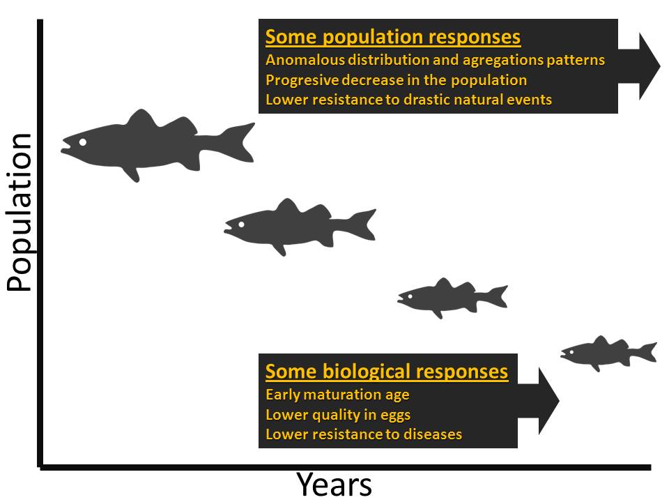 The Humboldt Current System: Sustainable Yield in Fisheries
