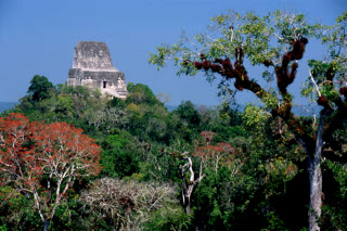 Ancient Civilizations: Mayan pyramids