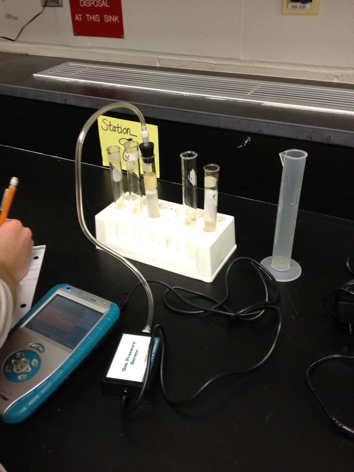 Maryanne's Science Class Ideas: Enzyme Activity Lab