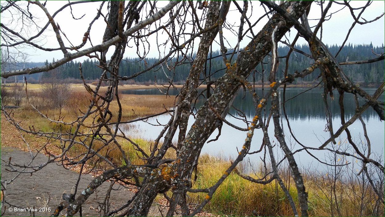 Northern Interior British Columbia: Rose Lake British Columbia (Pictures)