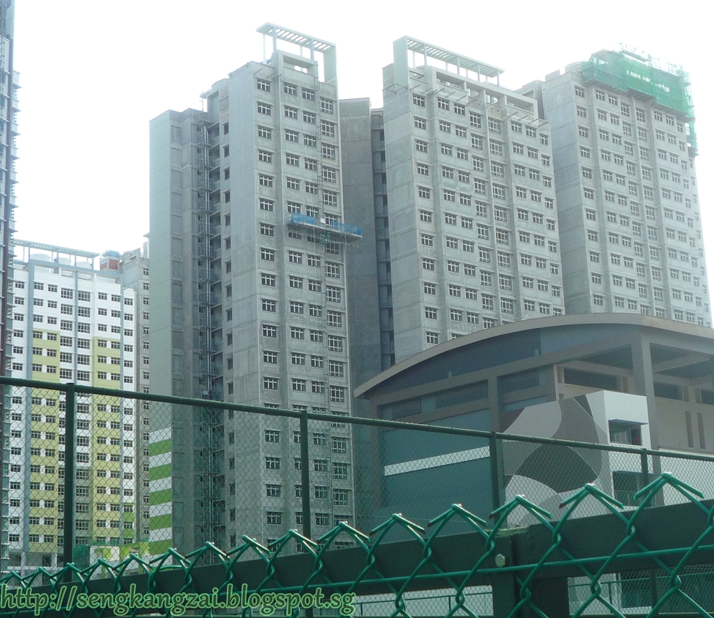 Zai@Sengkang: Fernvale Flora (Yr 13 Wk 28)