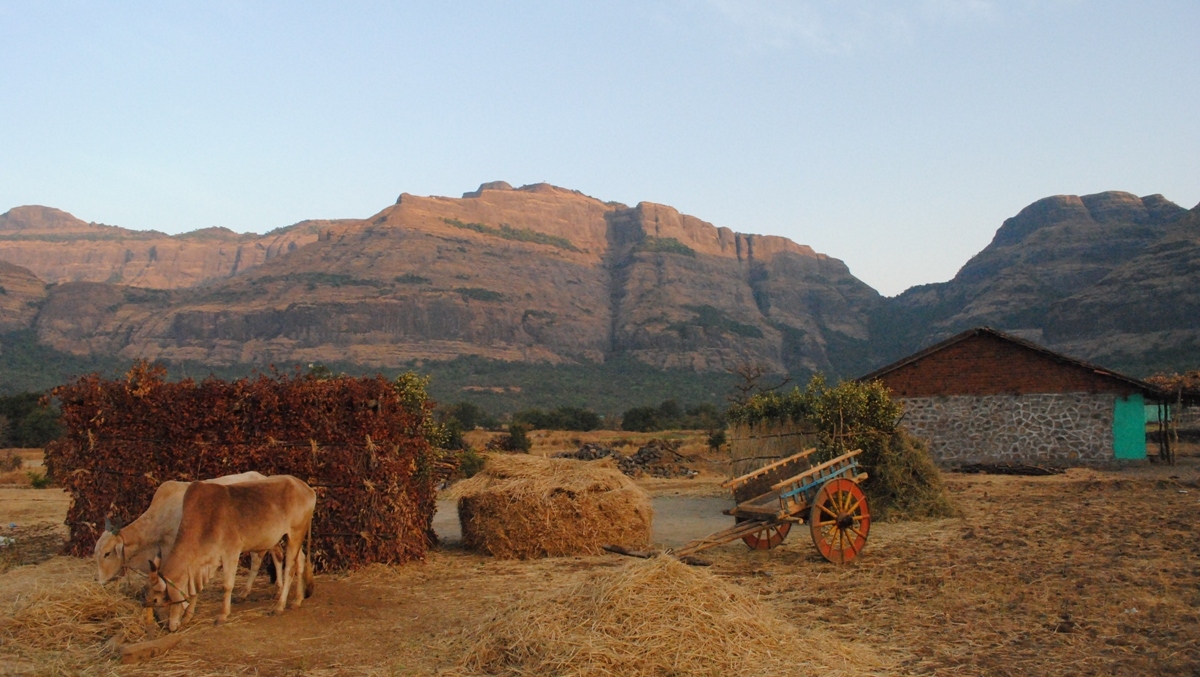 Trek Mates' Diary: Harishchandragad summer trek - PhotoBlog