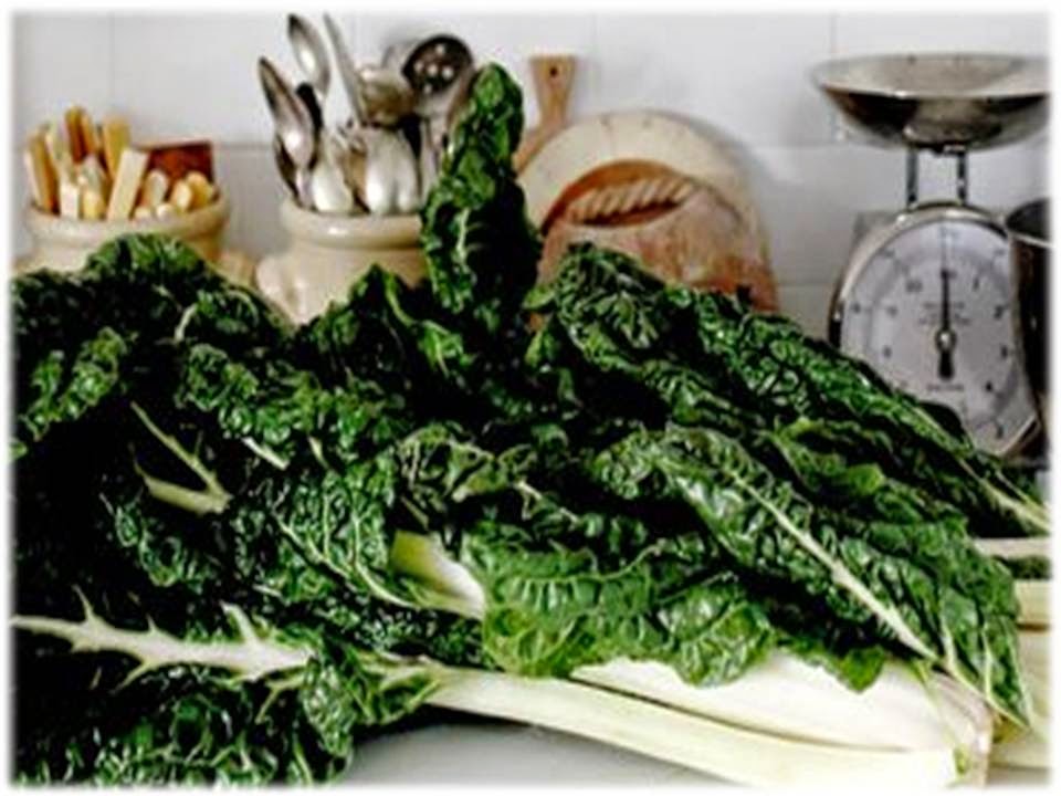 PLANTAS MÁGICAS: EL KALE (COL RIZADA) SUPERALIMENTO Y MEDICINA. 14 ...