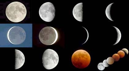 sasvimprirodna: SETVENI KALENDAR