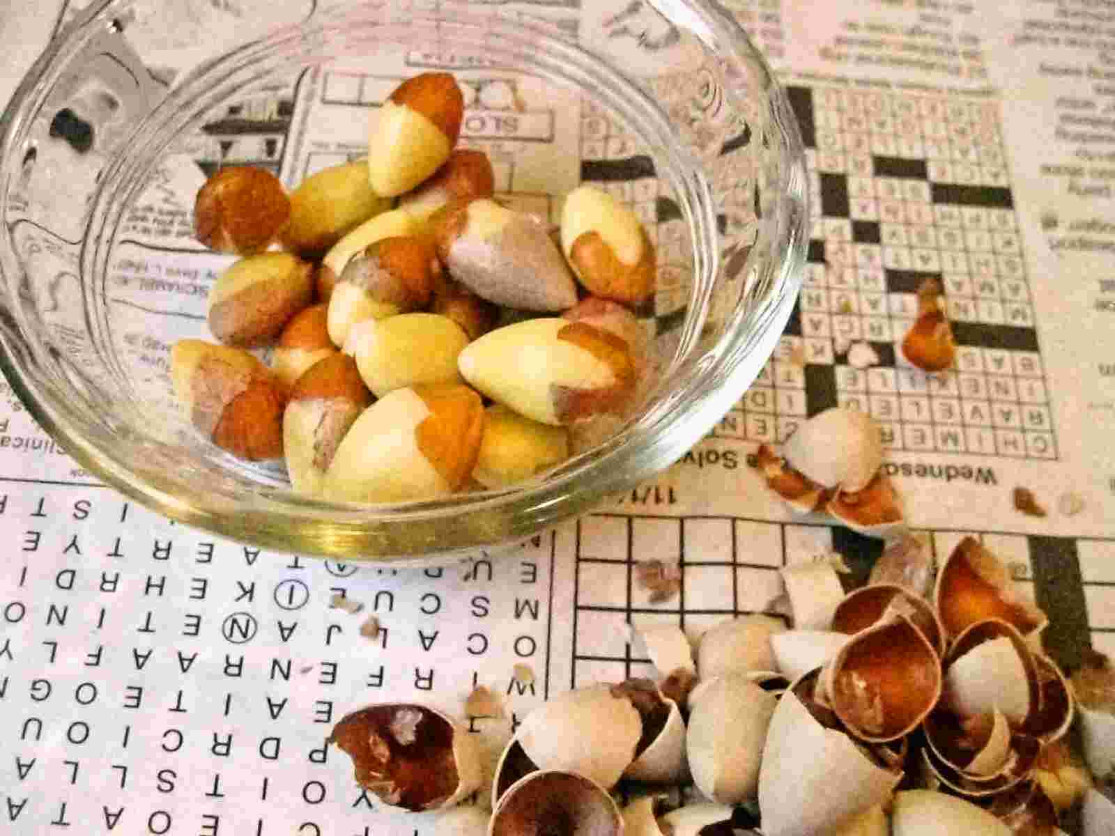 Recipes for Tom: Ginnan gingko nut prep
