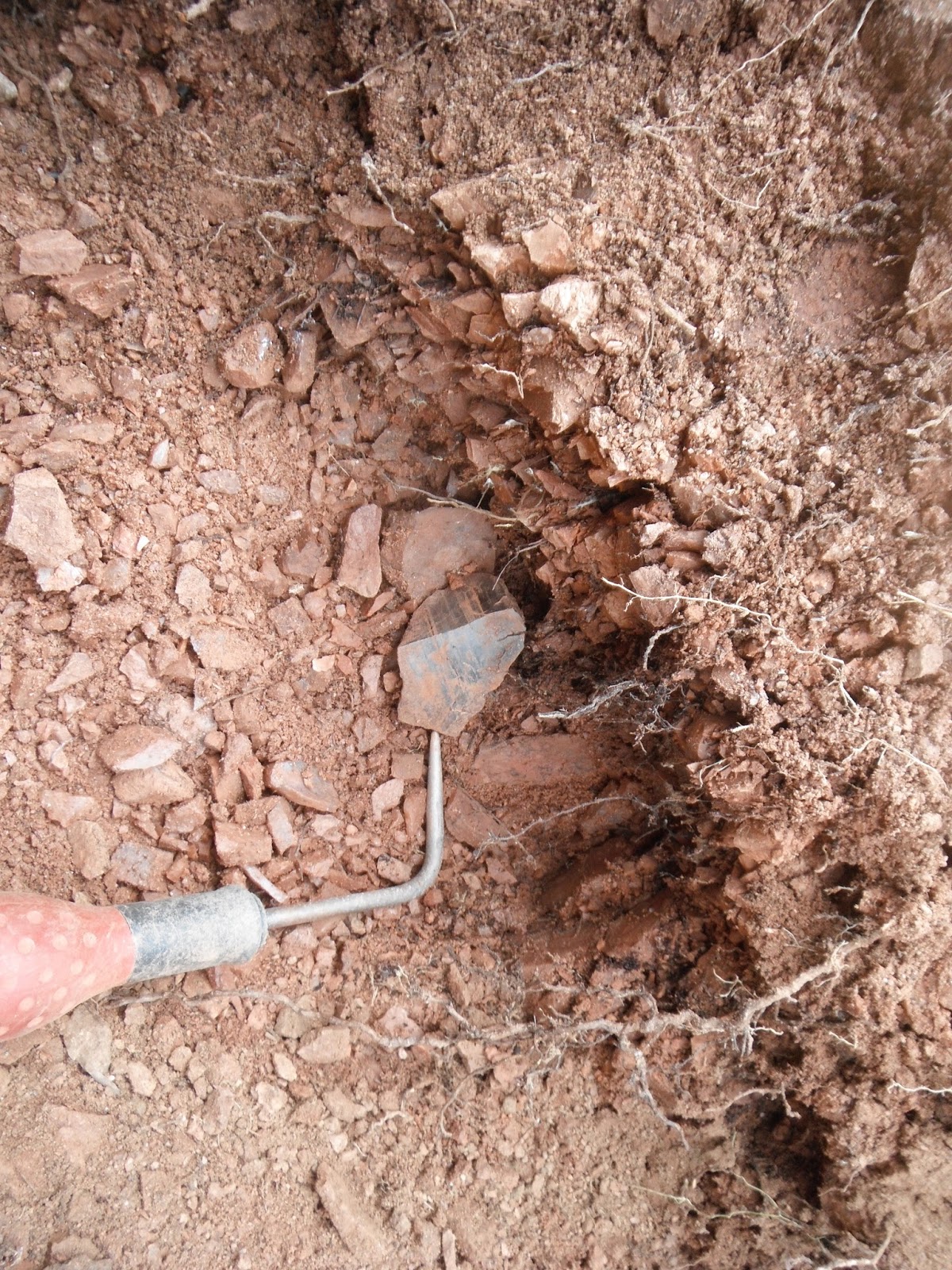 Rockhounding the Rockies: Rock Hounding the Tarryall Mountains