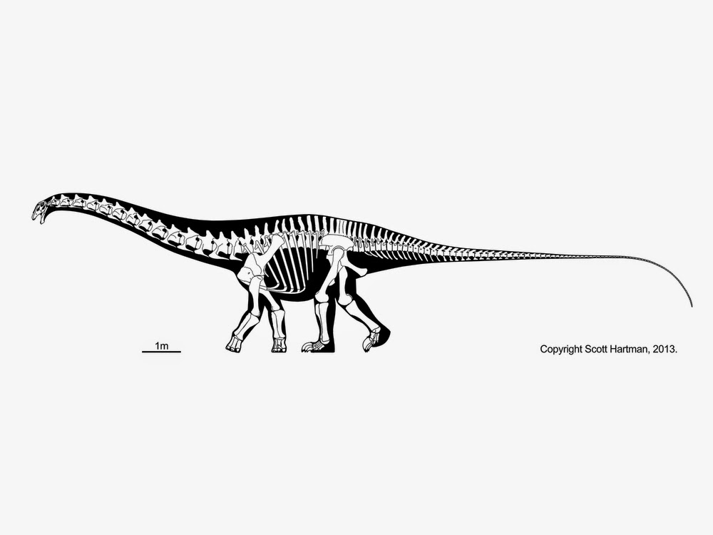 Palaeos, la historia de la Vida en la Tierra: noviembre 2014