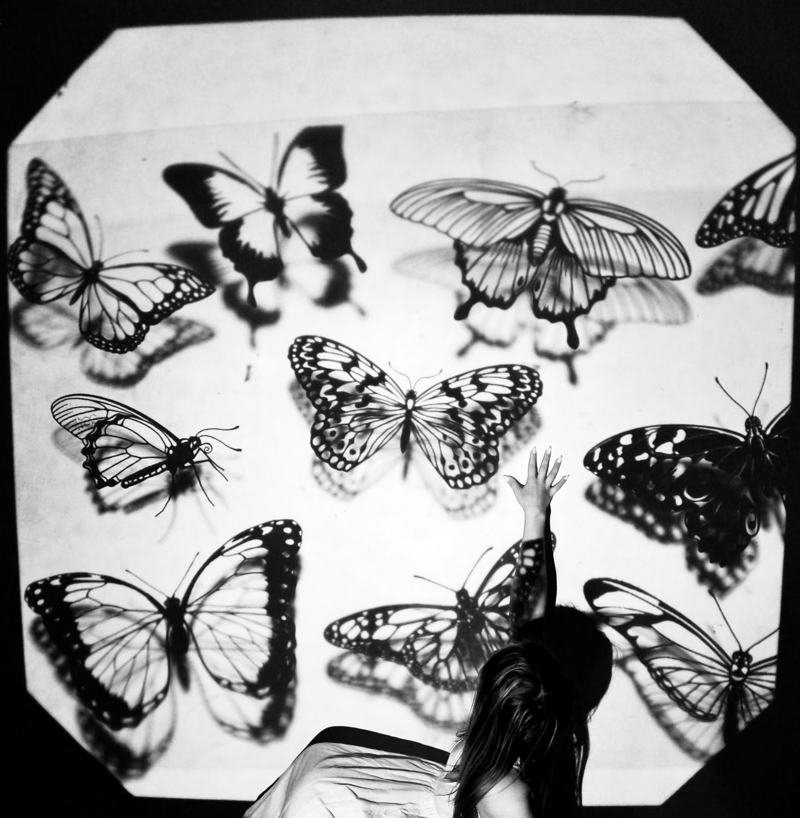 Paula Media A2: BUTTERFLY PROJECTIONS