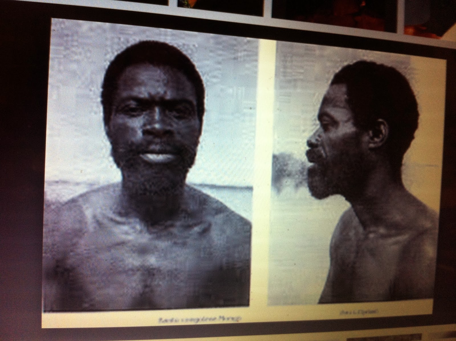 THE BLACK SOCIAL HISTORY:: BLACK SOCIAL HISTORY : NEGROID - IS THE TERM ...