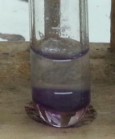 Praktikum Biokimia (Uji Molisch)