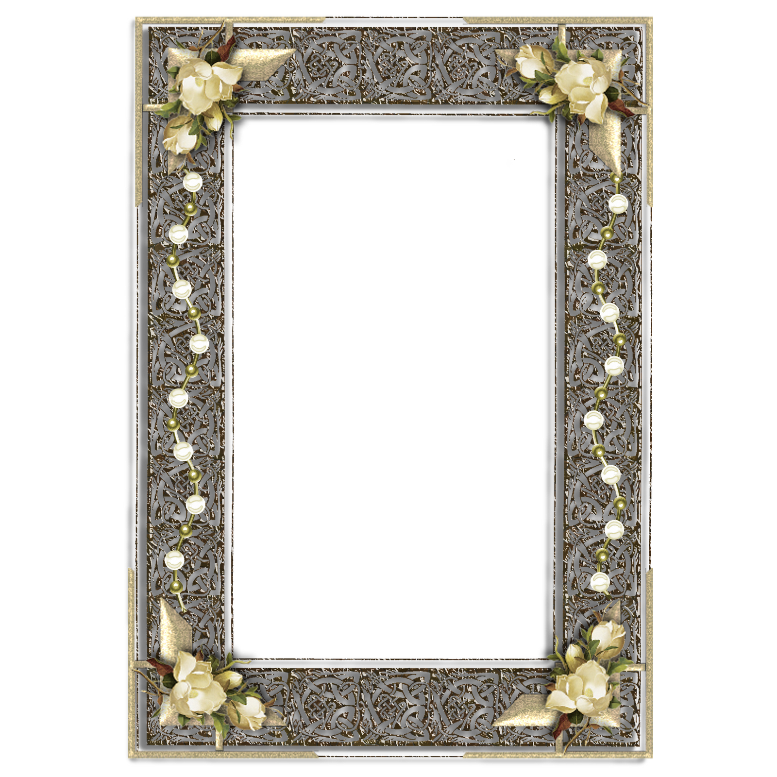 EL BLOG DE LILYAN: MARCOS PARA FOTO SHOP CON BRILLO Y FLORES