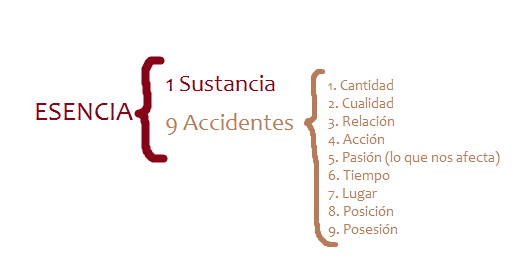 Biofilosofía: La Esencia según Aristóteles