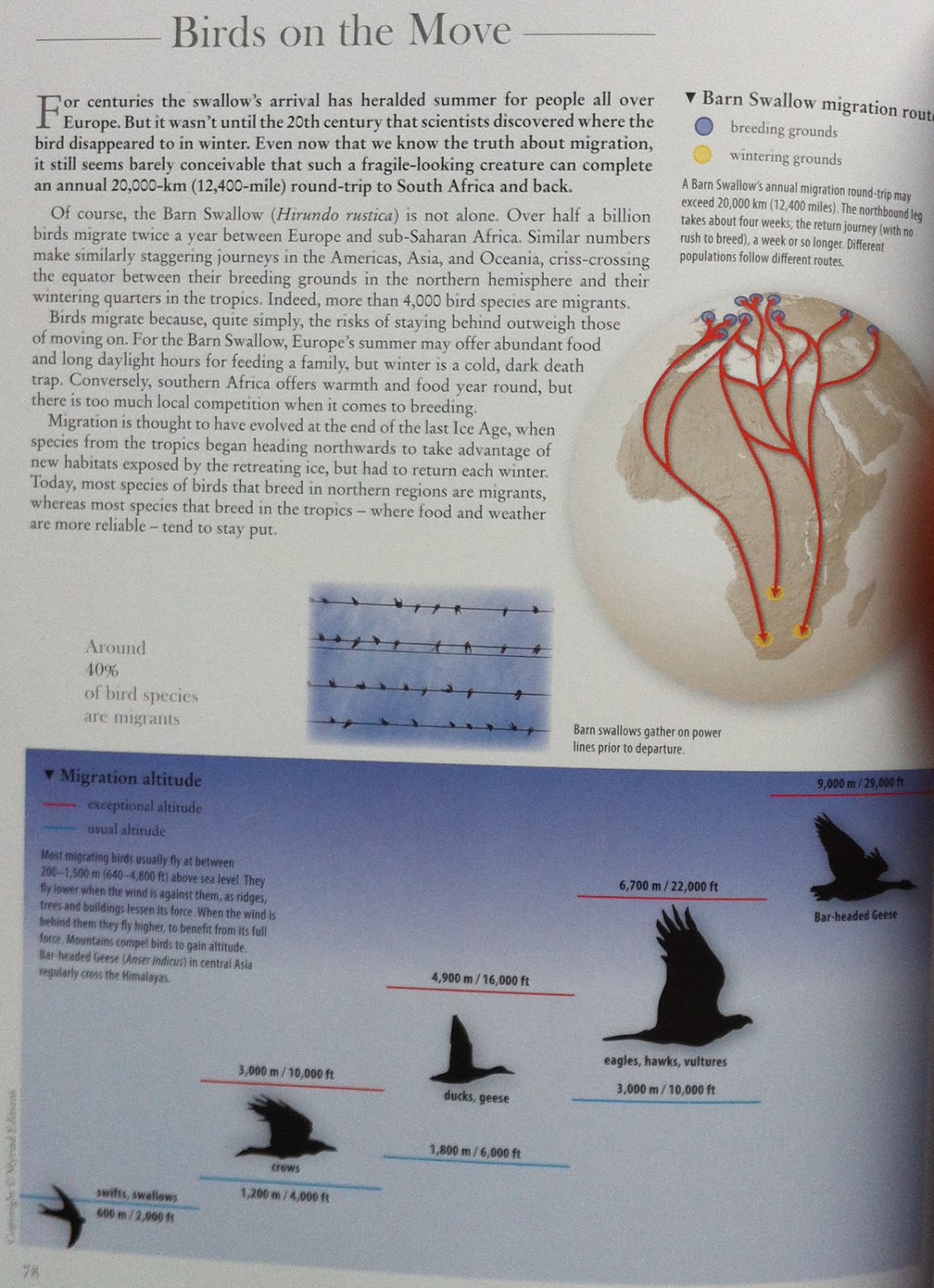 Arcticory...: "THE ATLAS OF BIRDS"