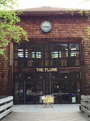 Loving Retirement!: The Flume!