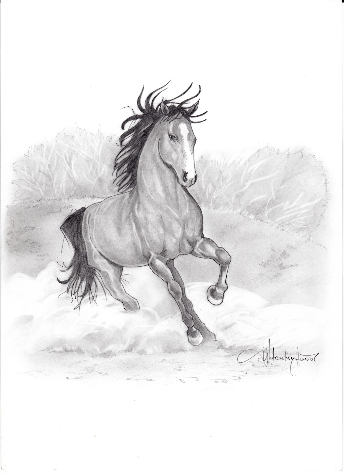 desene si schite: Portrete