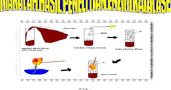 Dila's Kingdom: Praktikum Enzim Katalase Kelompok 5