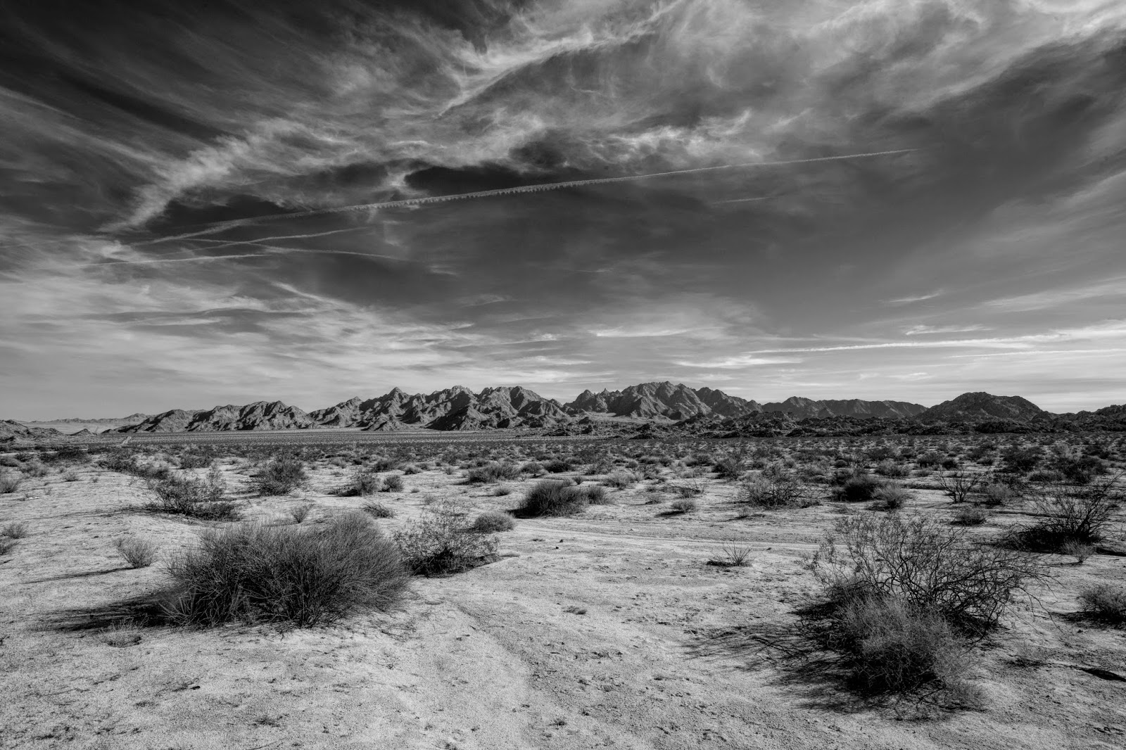 Spare Parts and Pics: Into The Great Wide Open