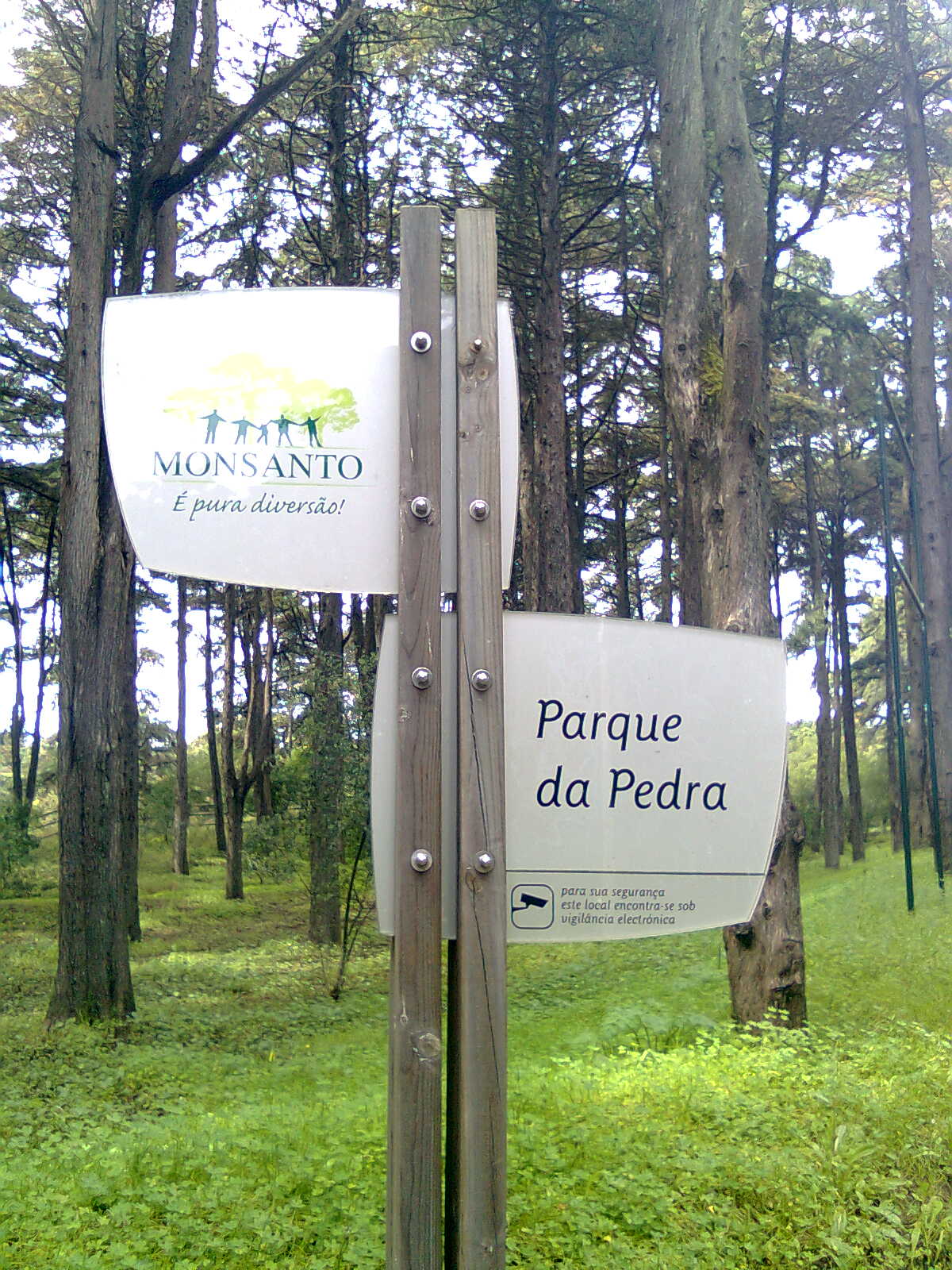 LISBOA S.O.S.: Parque da Pedra, Monsanto