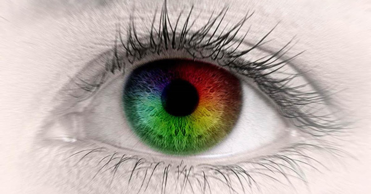 How The Human Eye Evolved To Be So Complex