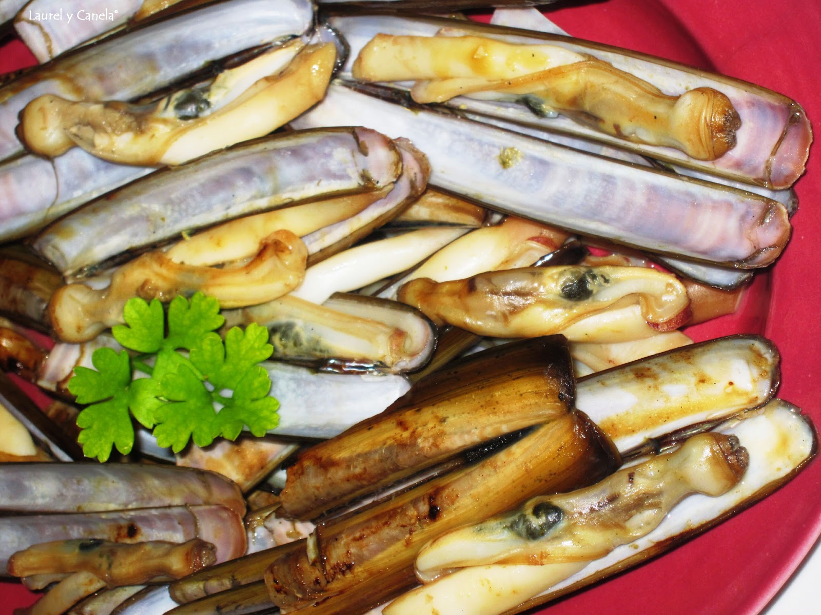 Laurel y Canela: junio 2012