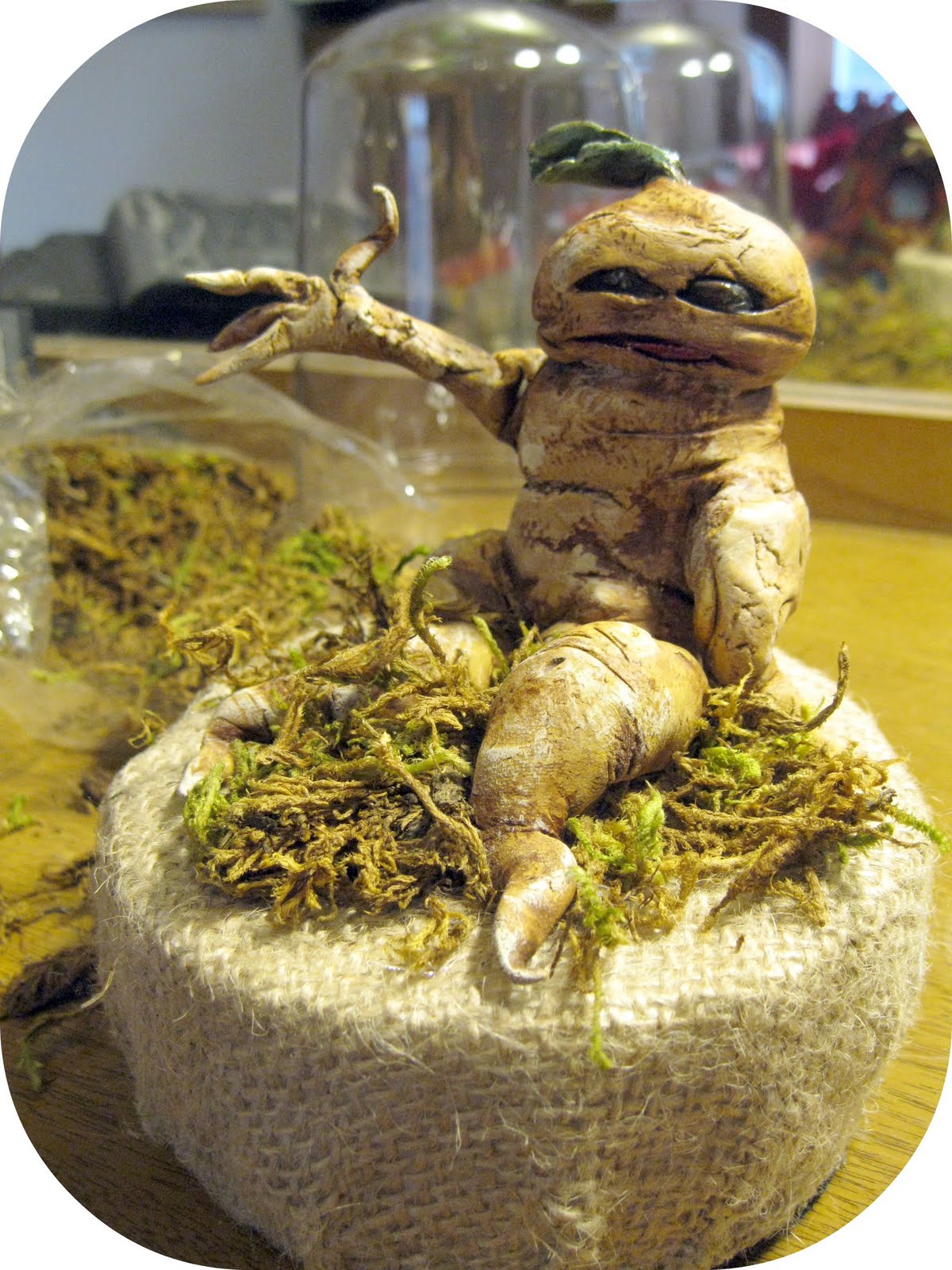 ...Make It With Me: How to (Make) Pick a Mandrake Root and Live to Tell ...