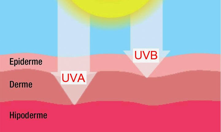 Qual a diferença entre raios UVA e UVB? O que é FPS UVB e uva ...