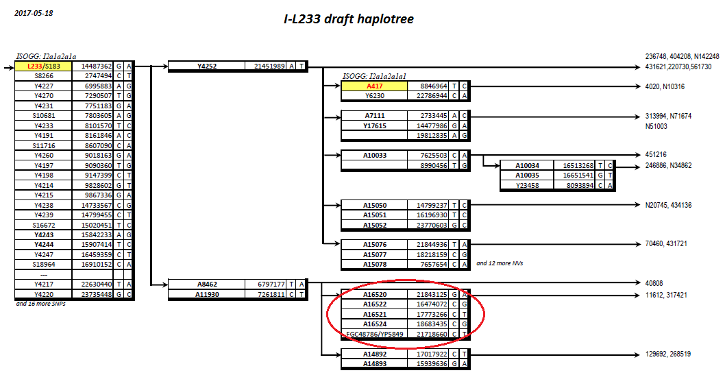 I-P37.2 haplogroup research: May 2017 Draft Tree for I-L233 "Western"