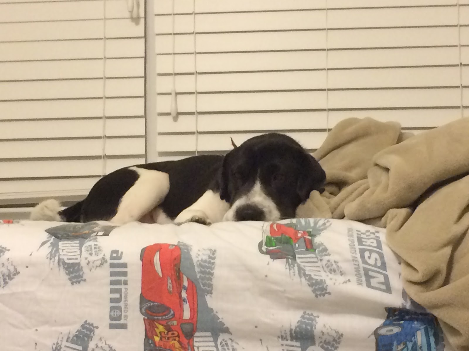 Oh those Walter boys!