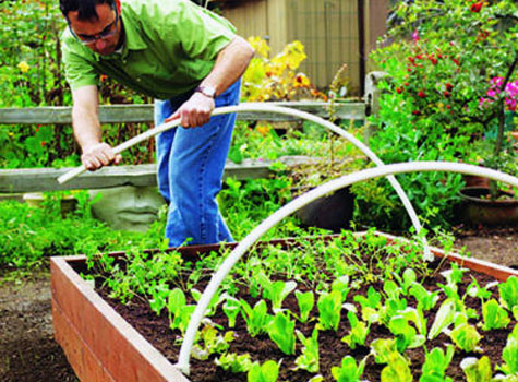 Following the Master Gardener: Making Floating Row Covers